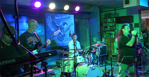 The Bionic Bird Band